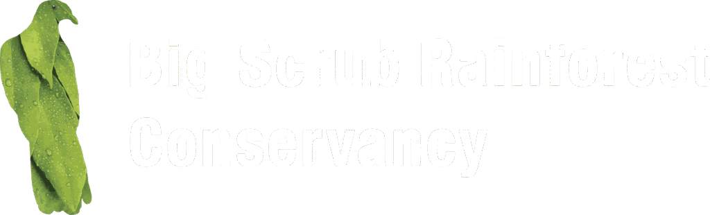 Home | Big Scrub Rainforest Conservancy