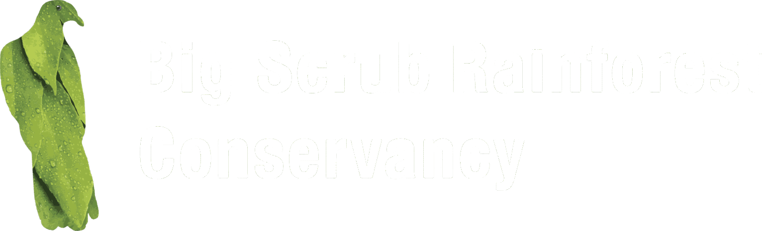 Home | Big Scrub Rainforest Conservancy